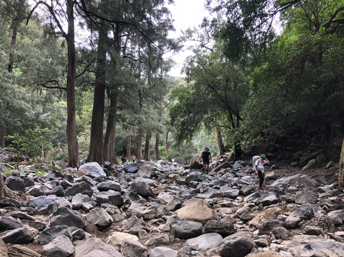 Bungonia National Park (II) – The Big Bush Basher