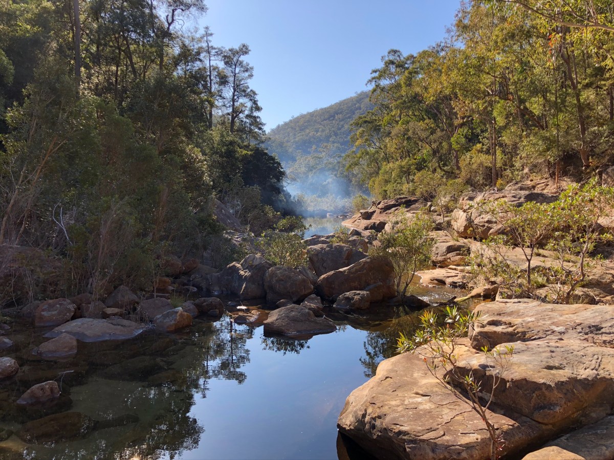 Lost World – The Big Bush Basher