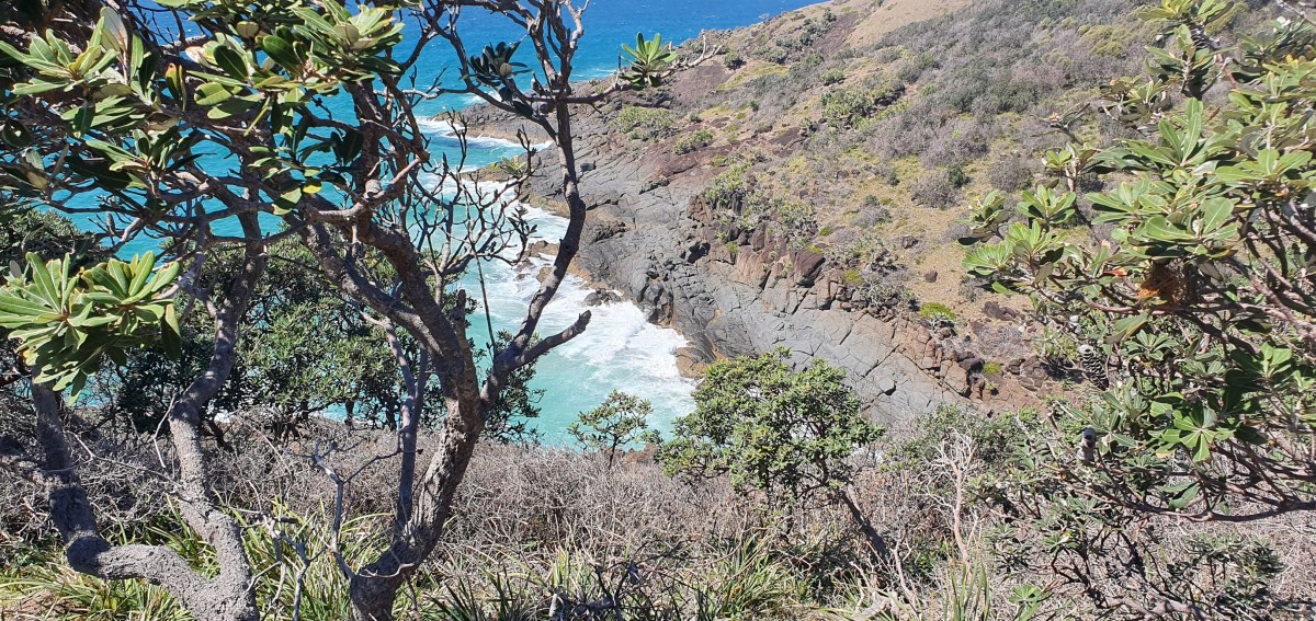 Hat Head – The Big Bush Basher