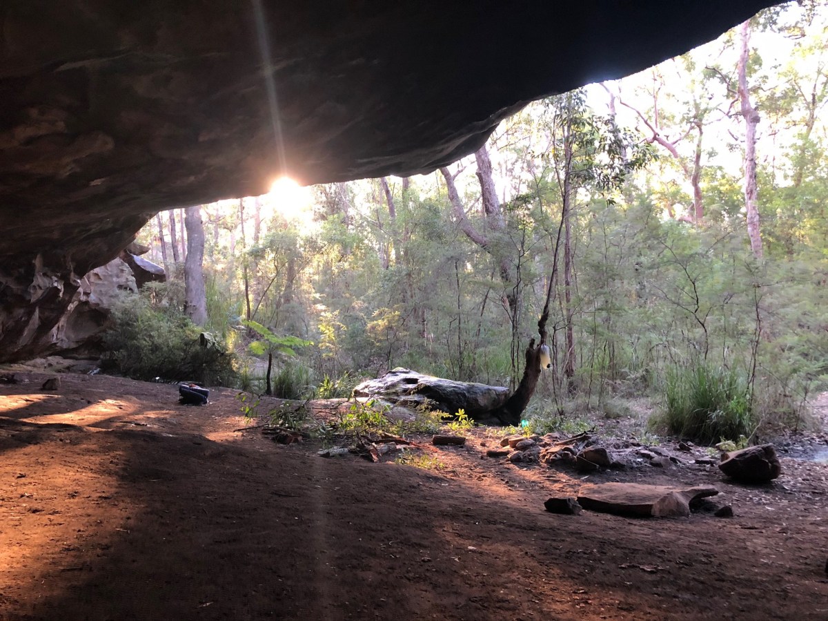 Pindar Cave – The Big Bush Basher