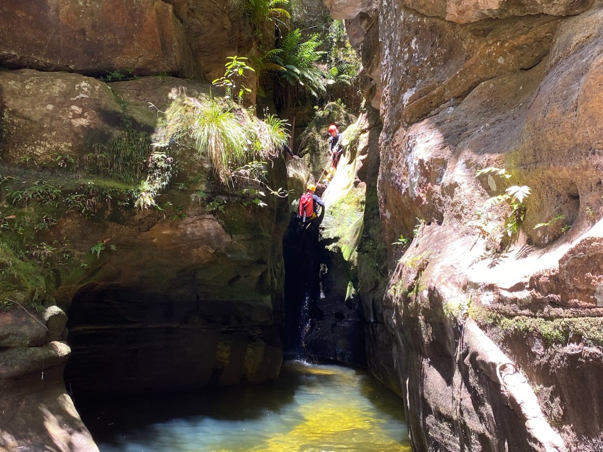 Serendipity Canyon – The Big Bush Basher